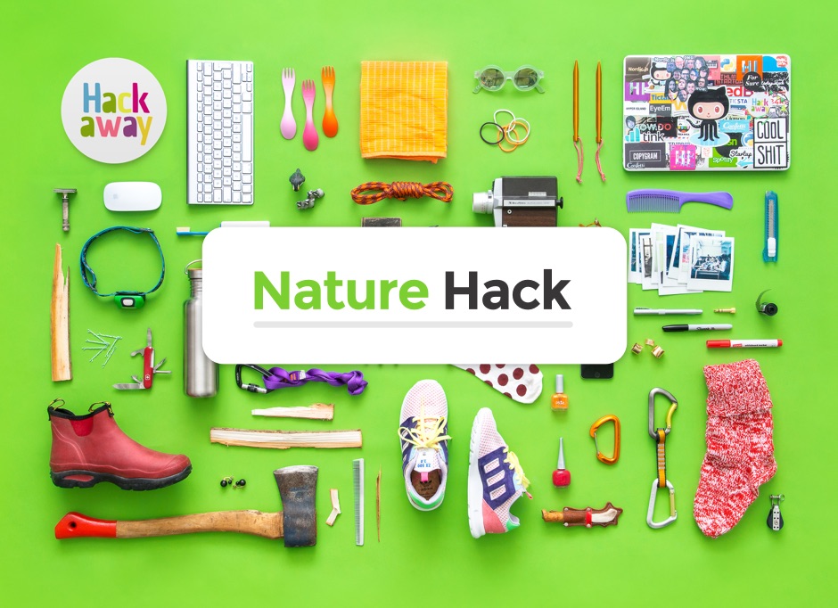 Building a talking forest with next-generation sensors at NatureHack ...